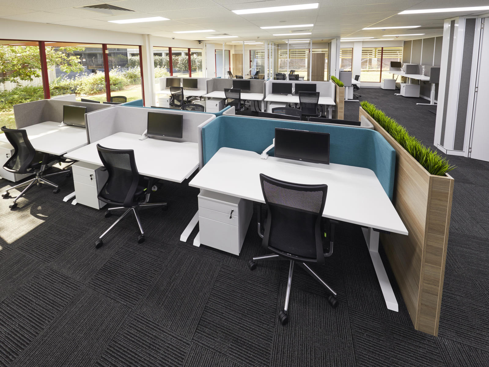 Burgtec | Protecta Group Offices | Sydney
